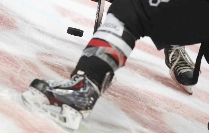 Dominic Steck verlängert bei den Crocodiles Hamburg