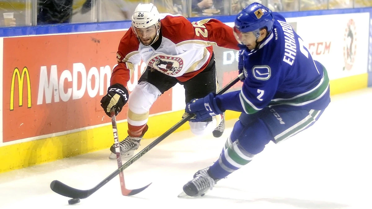Fischtown Pinguins holen Dominik Uher