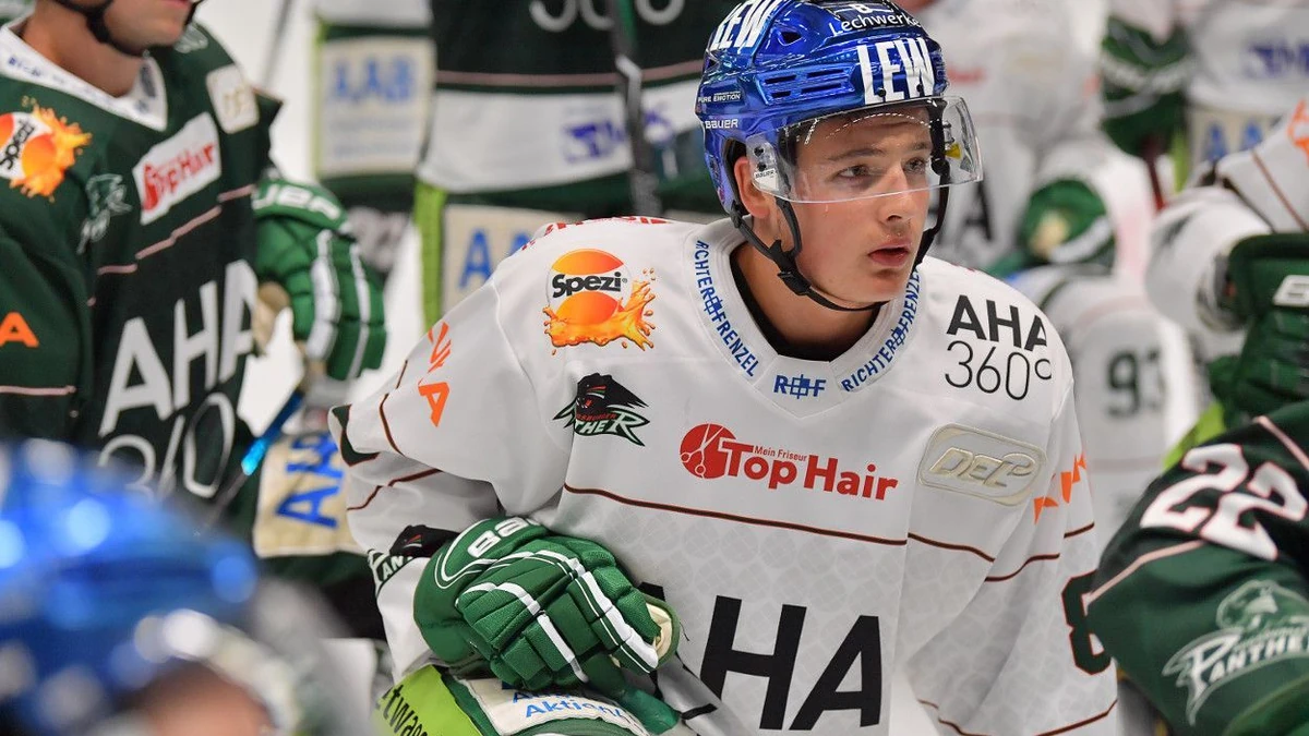 Jamie Arniel und Tim Bullnheimer verlassen die Augsburger Panther