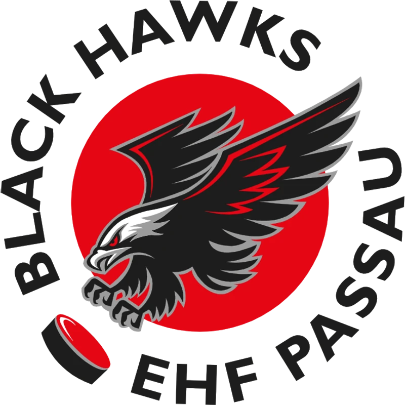 Heilbronner Falken gegen EHF Passau Black Hawks | Ergebnis vom 19.01. ...