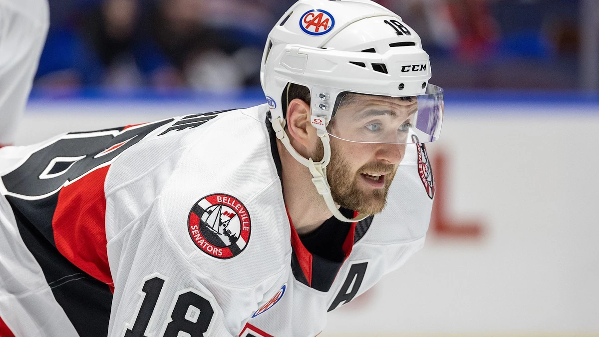 Kölner Haie verpflichten Stürmer Josh Currie