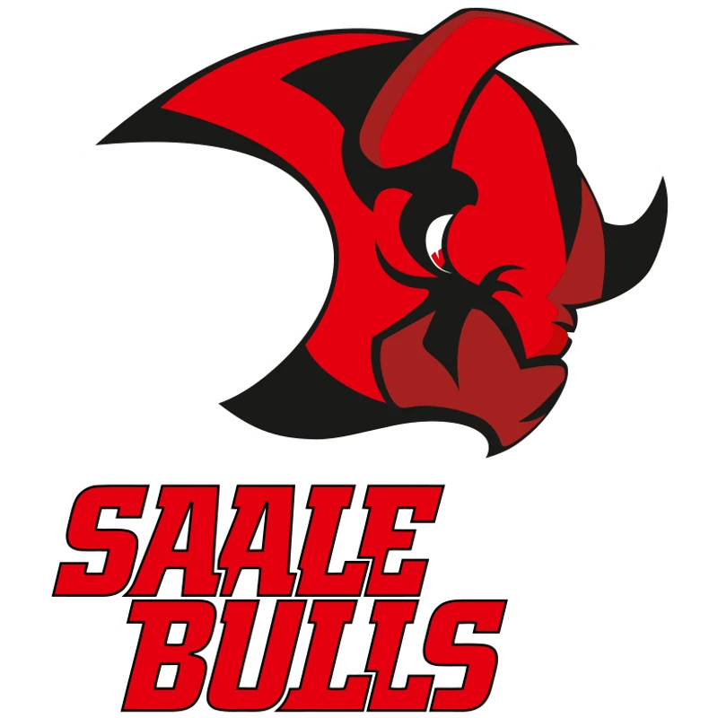 Tilburg Trappers gegen Saale Bulls Halle | Ergebnis vom 20.02.2026 ...